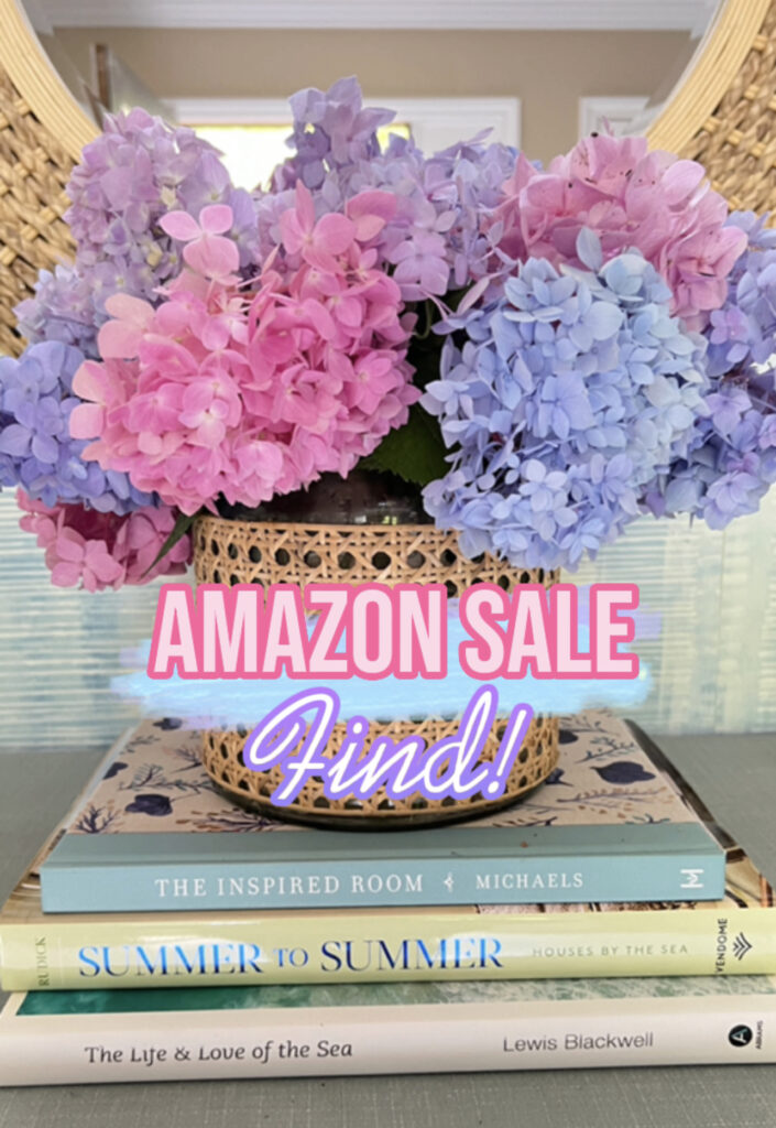 Shop My Amazon Daily Deals | Newport Lane